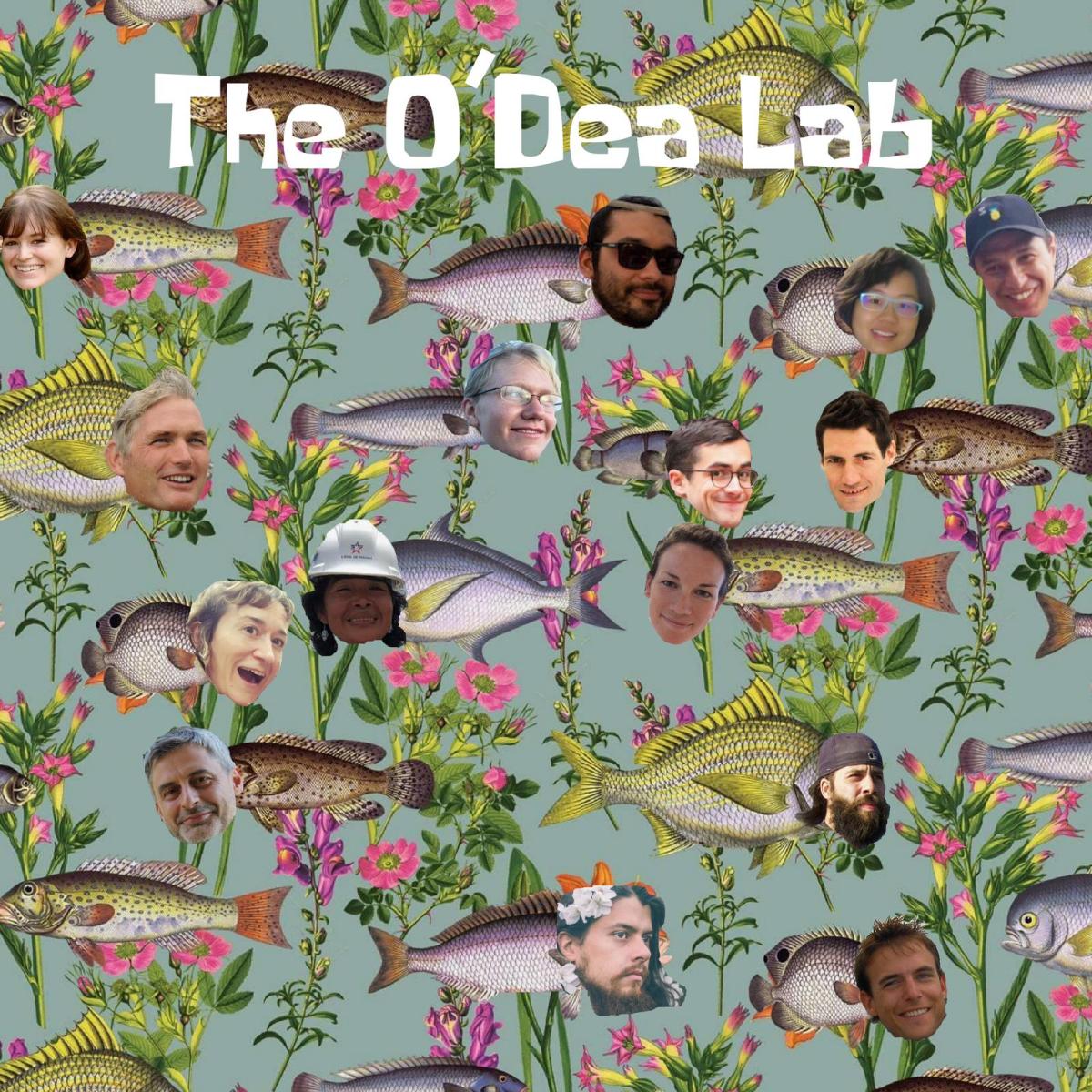 New lab group photo – O'Dea Lab